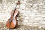 Cello Discovery - Online Cello Course
