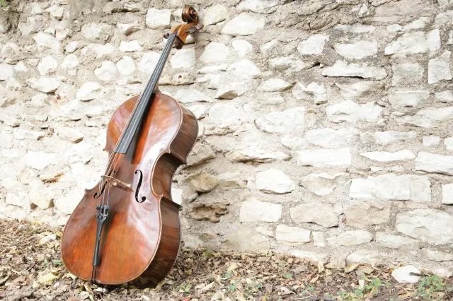 Cello Discovery - Online Cello Course for Adults
