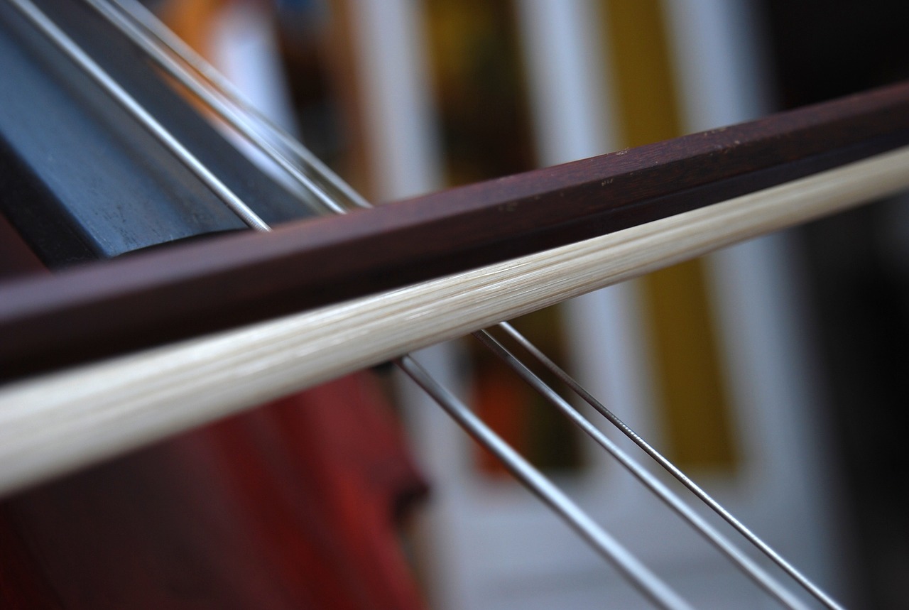 Finding The Right Cello Bow A Beginner s Guide