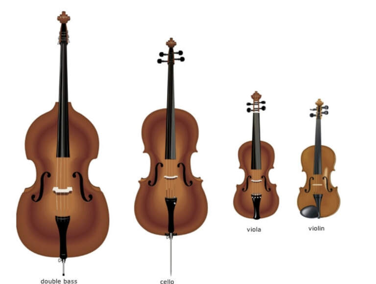Violin or Cello – Which is Better to Learn as an Adult?